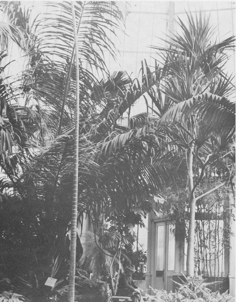 Address Book | Back In THE BRONX