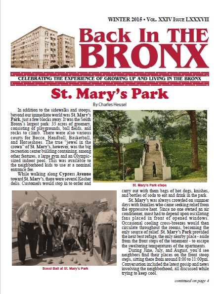 Issues | Back In THE BRONX